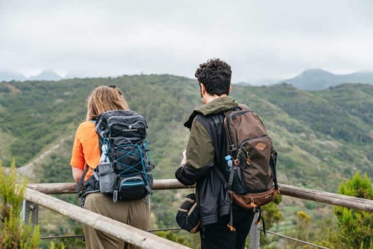 From South Tenerife: La Gomera Island Day Trip with Lunch - Exploring the Itinerary in Detail