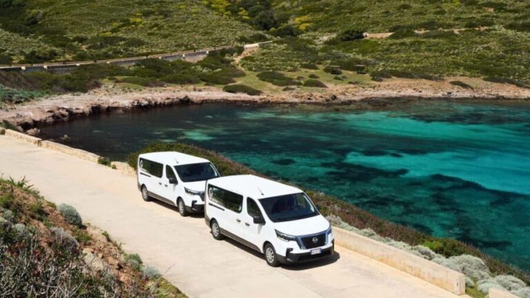 From Stintino: Asinara minivan tour - Final Thoughts: Who Will Love This Tour?