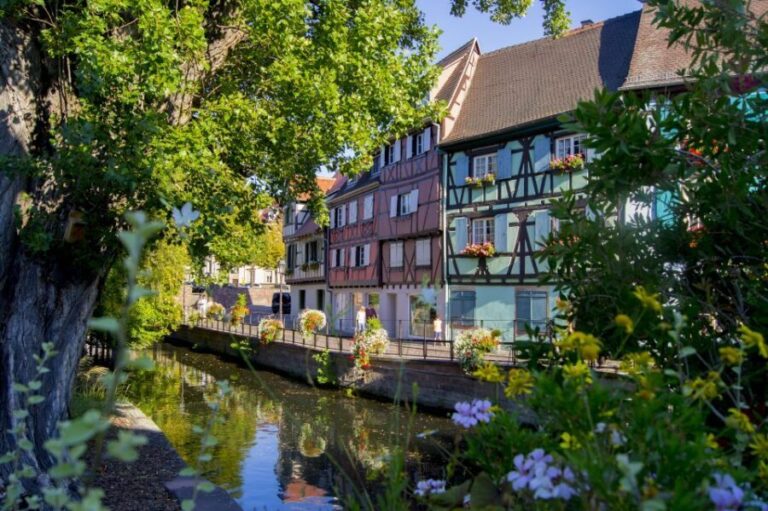From Strasbourg: Best Of Alsace Historical Day Trip - How to Make the Most of It