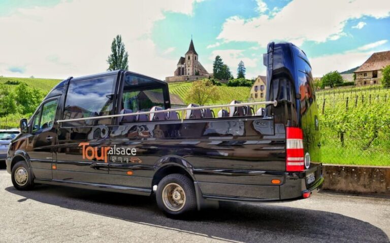 From Strasbourg: Medieval Villages & Wine Tasting Day Trip - How the Itinerary Unfolds