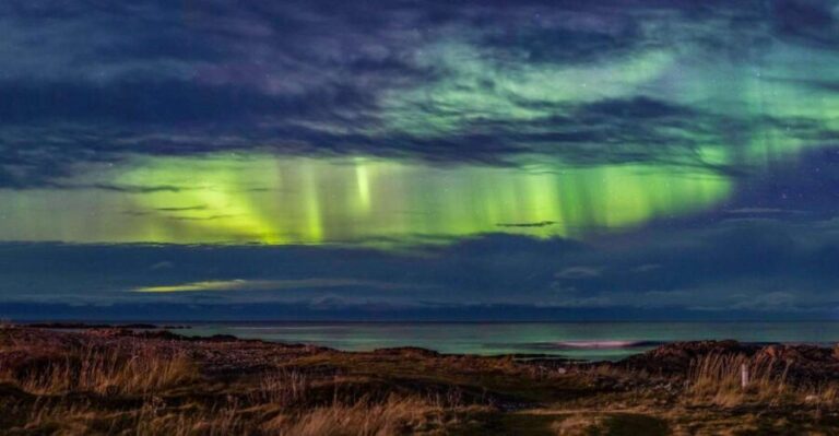 From Svolvær: Guided Northern Lights Tour by Van - The Value of This Northern Lights Tour