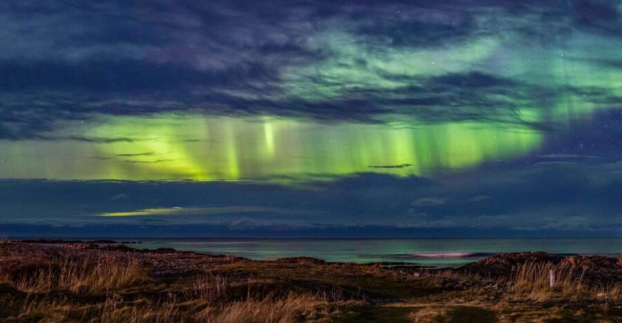 From Svolvær: Guided Northern Lights Tour by Van - The Value of This Northern Lights Tour