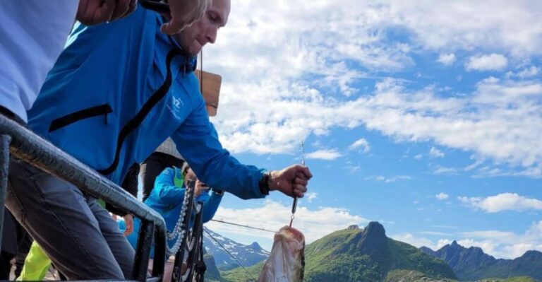 From Svolvaer: Lofoten Fishing Boat Cruise - Who Should Book This Tour?