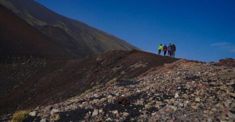 From Syracuse: Mount Etna Guided Morning Hike & Food Tasting - What to Expect on the Tour