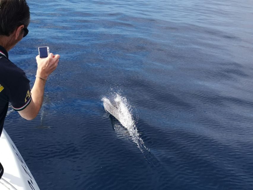 From Tazacorte: Discover the Northwest Coast by Speedy Yacht - FAQs