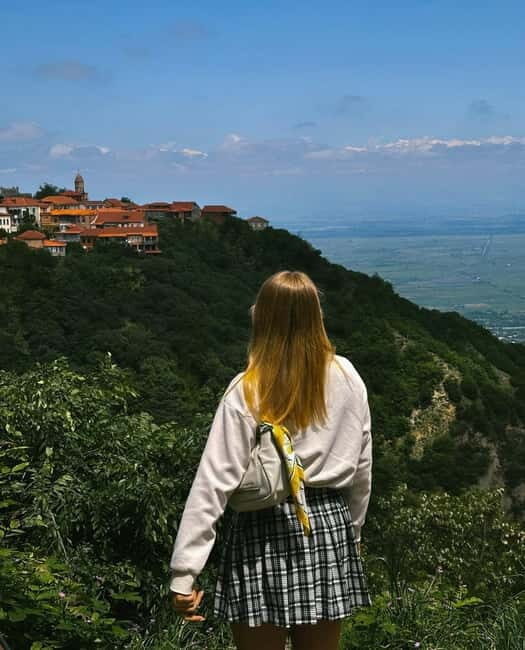 From Tbilisi: Kakheti Wine Region Tour with 9 Wine Tasting - The Full Breakdown of the Kakheti Wine Region Tour