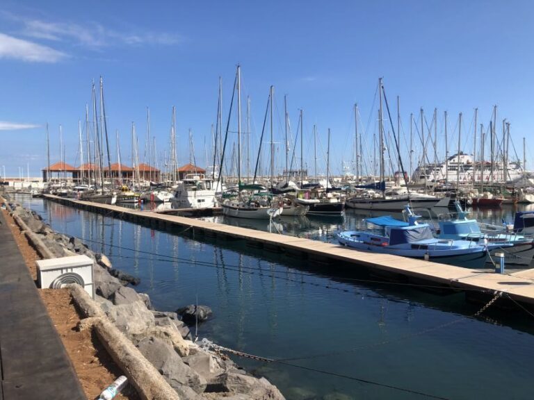 From Tenerife: Guided Tour to La Gomera with Ferry Ticket - A Closer Look at the La Gomera Experience