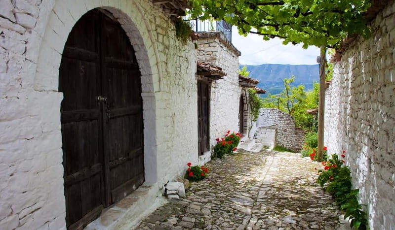 From Tirana & Durres :Private Day Trip to Apollonia, Berat - Why This Tour Is Worth Considering