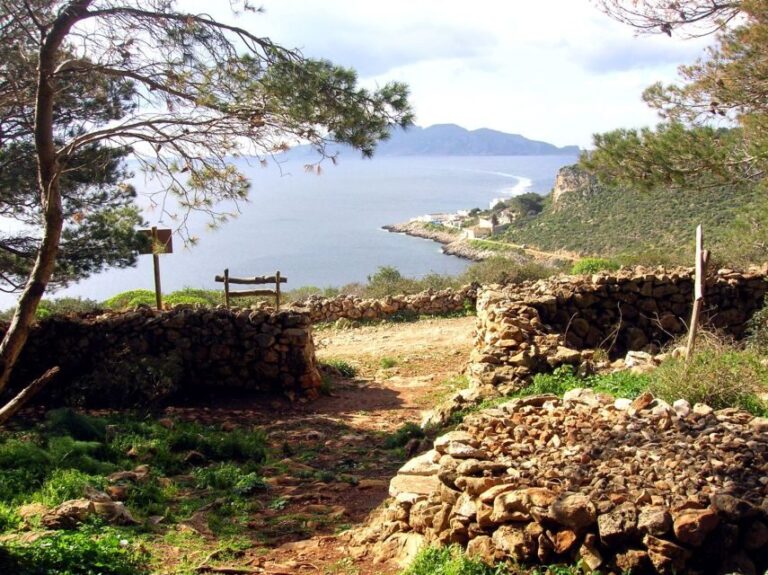 From Trapani: Cruise to Favignana and Levanzo with lunch - Island of Favignana: Beaches, Museums, and More