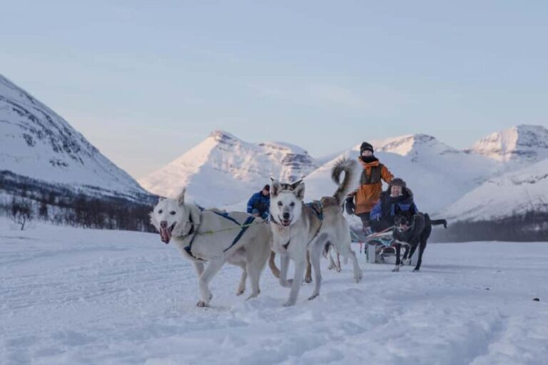 From Tromsø: Advanced Dog Sledding Daytime & Snow Park Visit - Camp Tamok: The Heart of the Experience
