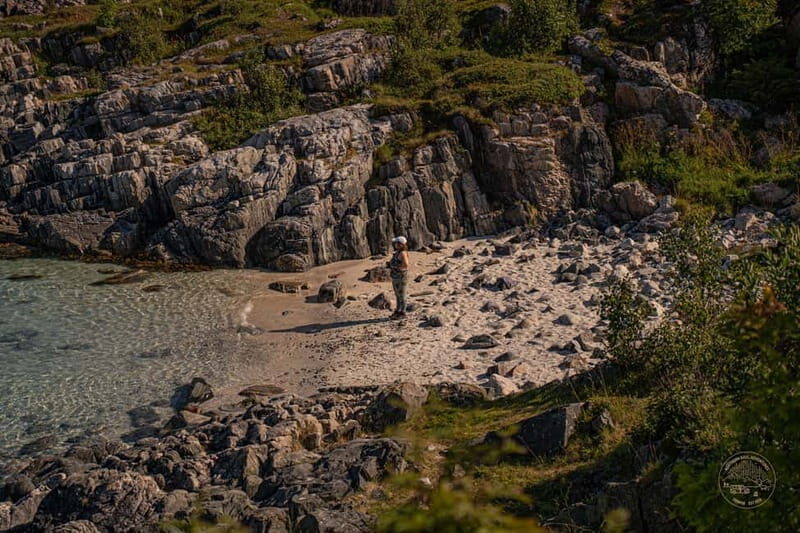 From Tromsø: Arctic Roadtrip: fjords tour with scenic picnic - Exploring the Arctic Wilderness: What to Expect