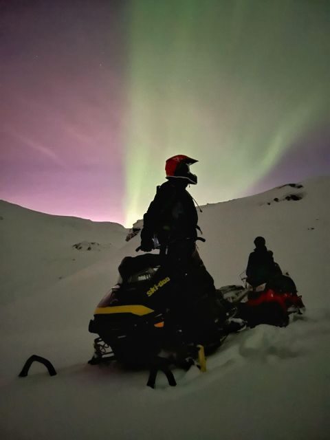 From Tromso: Arctic Wilderness Snowmobile Evening Tour - Price and Value