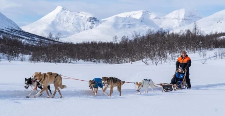 From Tromsø: Dog Sledding Adventure in Tamokdalen - The Itinerary in Detail