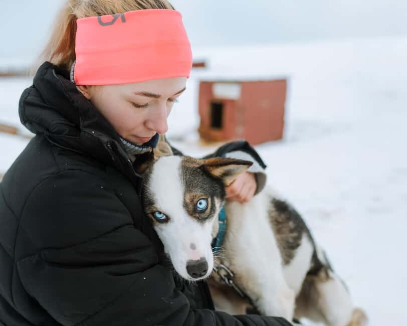 From Tromsø: Dog Sledding Experience with Transfer - The Itinerary: What to Expect Step-by-Step