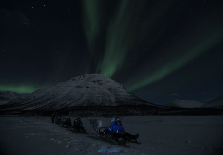 From Tromsø: Evening Reindeer Sledding at Camp Tamok - What To Expect & Practical Tips