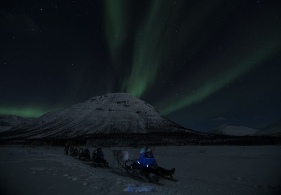 From Tromsø: Evening Reindeer Sledding at Camp Tamok - What To Expect & Practical Tips