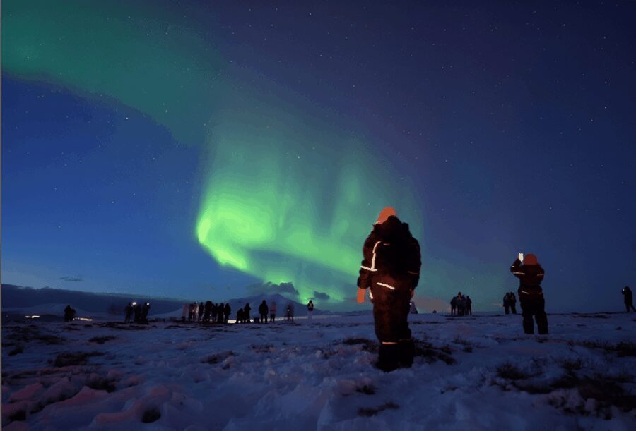 From Tromsø: Northern Lights Tour in Minibus with Photos - Is It Worth the Price?