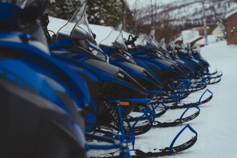 From Tromsø: Snowmobiling Tour at Camp Tamok - Detailed Breakdown of the Itinerary