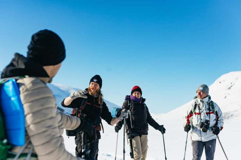 From Tromsø: Snowshoeing Hike with Picnic Lunch and Photos - Gear, Logistics, and Practical Tips