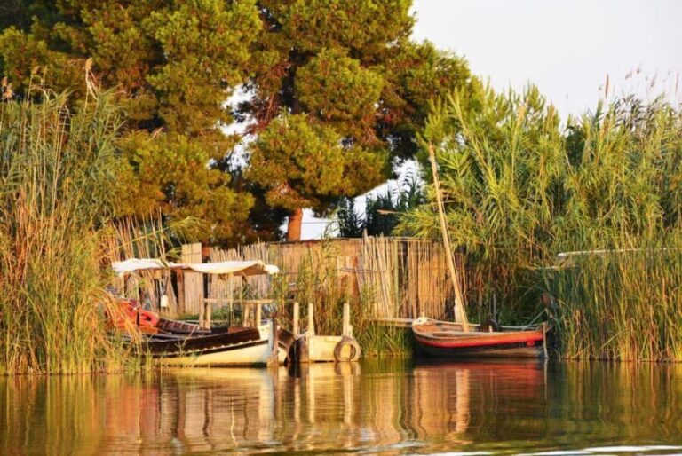 From Valencia: Albufera Natural Park with Sunset Boat Tour - The Practicalities