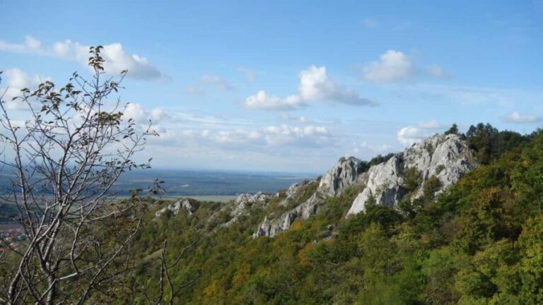 From Vienna: Bratislava & Countryside Guided Half Day Tour - Transportation & Logistics