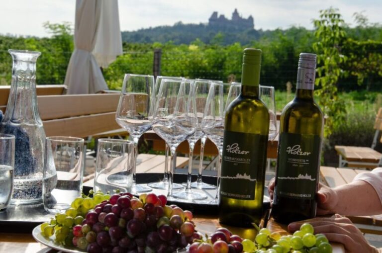 From Vienna: Half-day Countryside Wine Tour with Meal - What We Loved and What to Consider