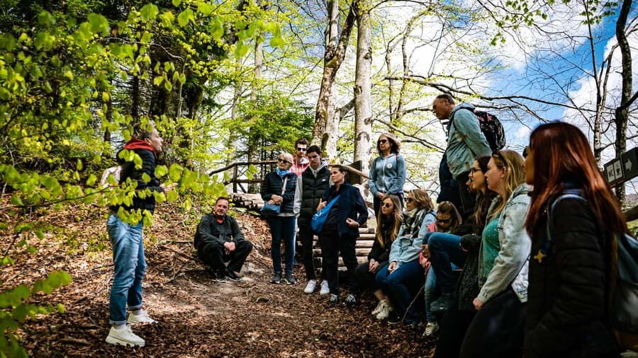 From Zagreb: Plitvice Lakes National Park Full-Day Tour - Authentic Feedback from Travelers