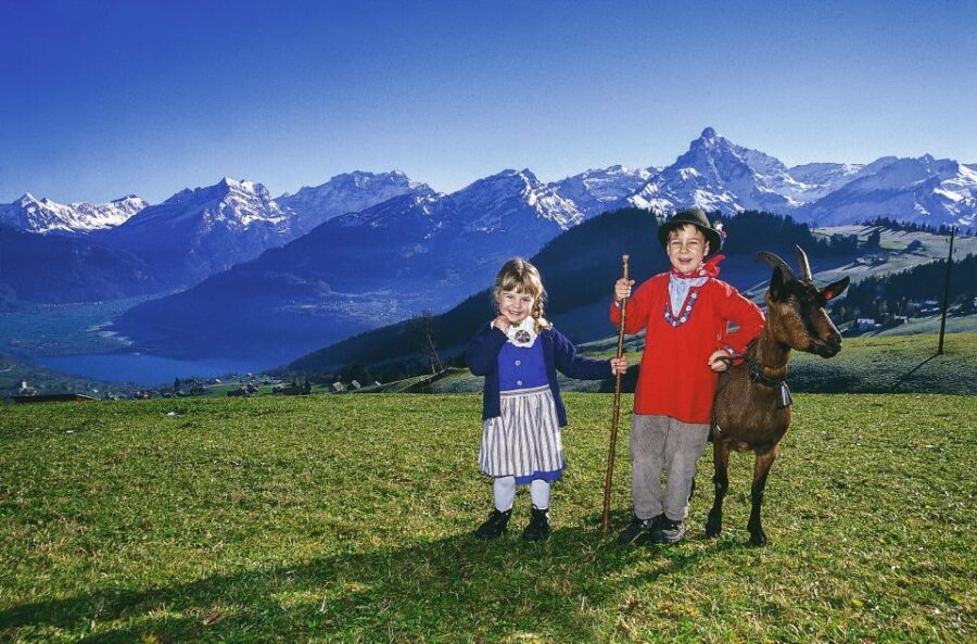 From Zurich: Bus Day Trip to Heidiland and Liechtenstein - Transport, Guides, and Comfort: Why Theyre Worth It