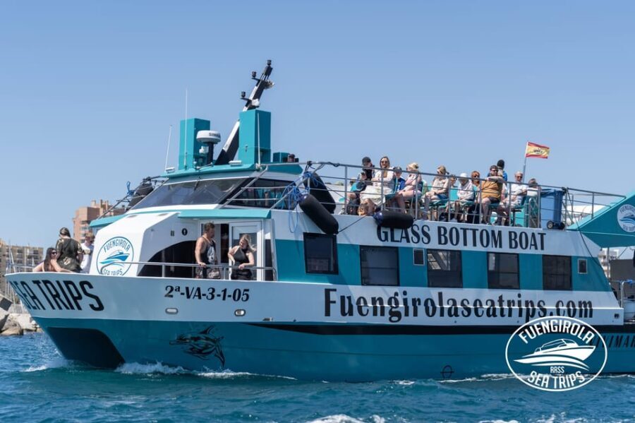 Fuengirola: Catamaran Tour to Spot Dolphins - Who Is This Tour Best For?