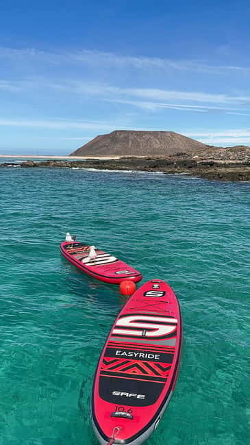 Fuerteventura: Dolphin watching and Lobo Island Combo Cruise - Authentic Experiences & Review Highlights