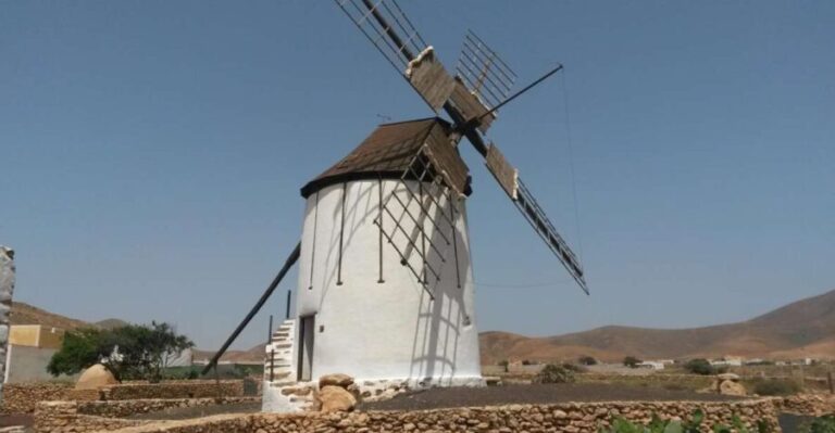 Fuerteventura: Full Day Tour with Lunch - Authenticity and Guest Experiences