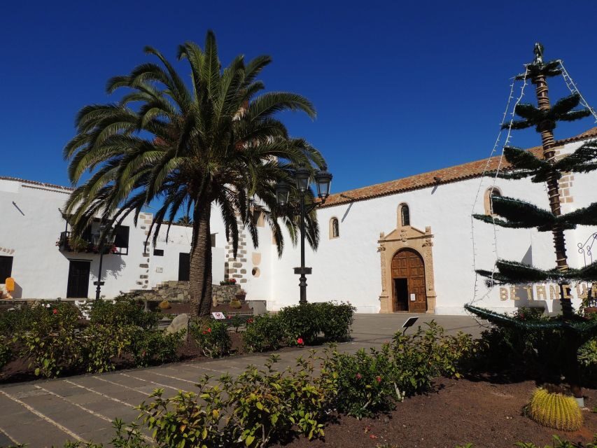 Fuerteventura: Guided Hotspots Island Grand Tour - Who Would Love This Tour?