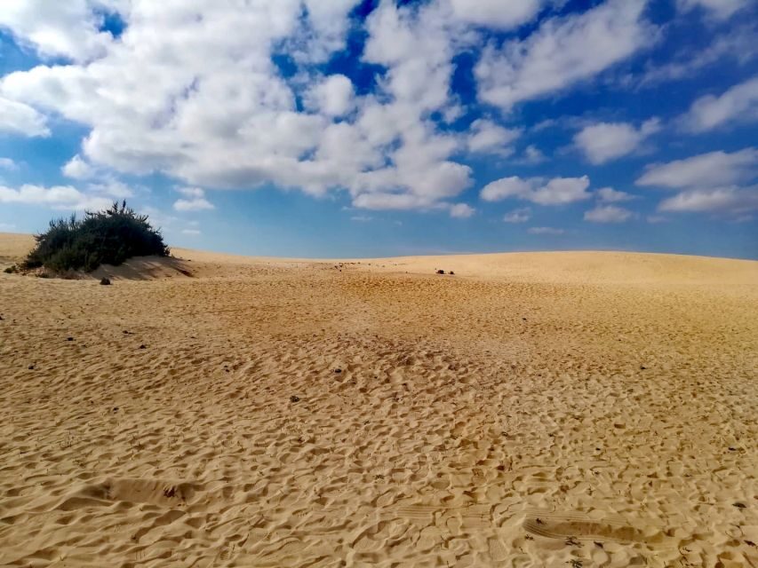 Fuerteventura: North of Fuerteventura for Cruise Passengers - Who Will Love This Tour?
