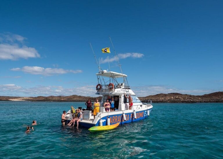 Fuerteventura: Whale & Dolphin Watching Boat Tour with Guide - FAQ