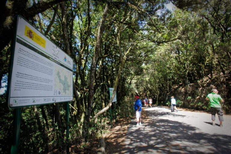 Full-Day Gomera Jeep Safari Excursion from Arona - The Transportation Experience: Jeeps and Comfort