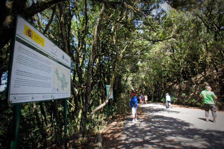 Full-Day Gomera Jeep Safari Excursion from Arona - The Transportation Experience: Jeeps and Comfort