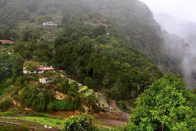 Full Day Guided Tour to La Gomera from Tenerife - Authentic Experiences and Hidden Gems