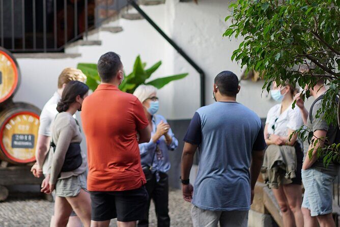 Full-Day Madeira Wine Tasting Tour with Lunch - What’s Notable About the Price?