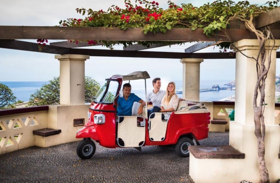 Funchal: Best Viewpoints Guided Tuk Tuk Tour - The Sum Up: Who Should Book This Tour?
