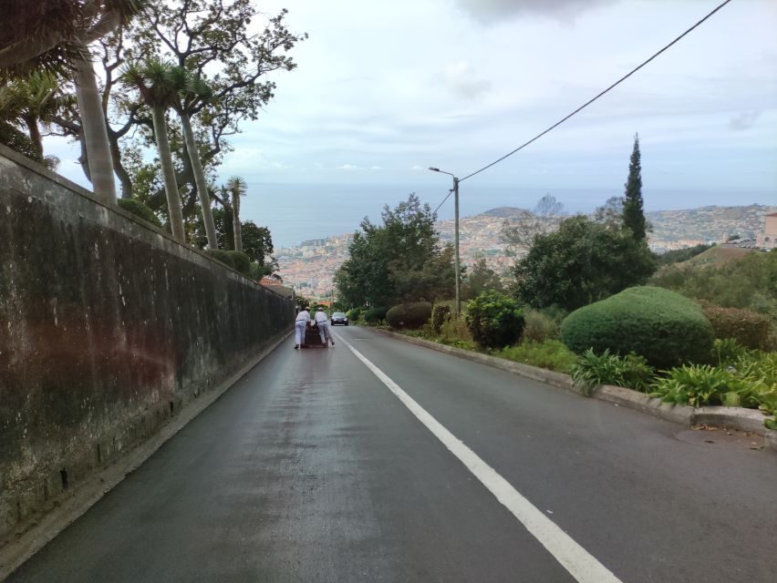 Funchal: Monte Toboggan and Old Town Tour by Tuk-Tuk - Who Will Love This Tour?