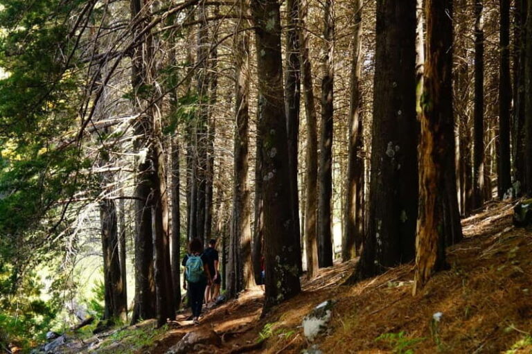 Funchal: Pico do Arieiro Sunrise Plus 2 extra Hiking Trails - Exploring the Tour in Detail