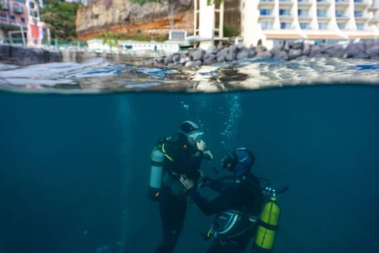 Funchal: Scuba Diving Experience for Beginners - The Itinerary Breakdown