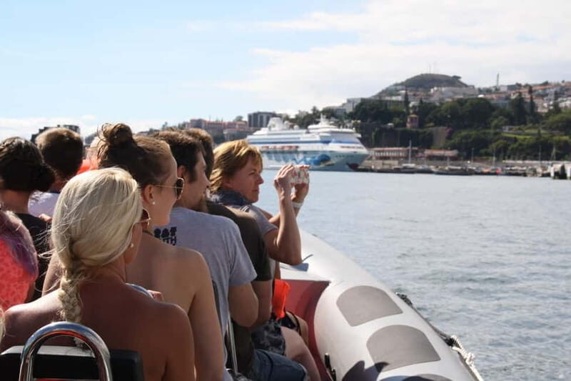 Funchal: Whale Watching and Swimming with Dolphins Cruise - What You Need to Know: Practicalities and Value