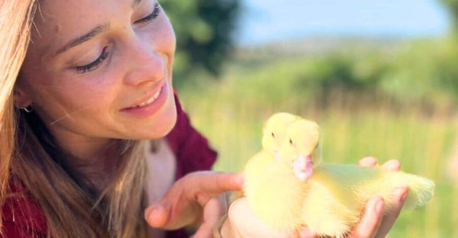 Gallura: Picnic on a Farm with Animals - The Setting and Location