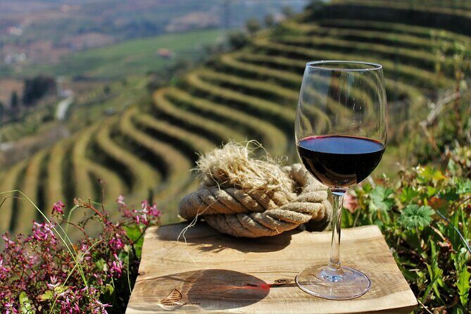 Genuine Douro Valley Tour: Visit 2 Wineries, Lunch & River Cruise - What the Reviews Say