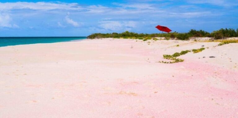 Georgioupolis Area: Full-Day Bus Trip to Elafonisi Island - A Deep Dive into the Experience