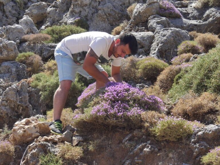 Georgioupolis Full-Day Land Rover Safari Experience - The Sum Up