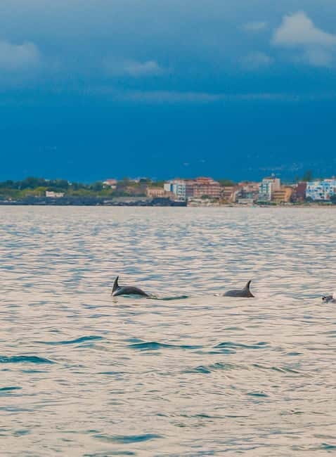 Giardini Naxos Taormina: Dolphin Watching Sunset Tour - Practical Details and What Travelers Should Know