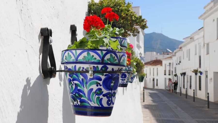 Gibraltar and Mijas town Day Trip with Free Time from Málaga - In Gibraltar: Five Hours of Freedom