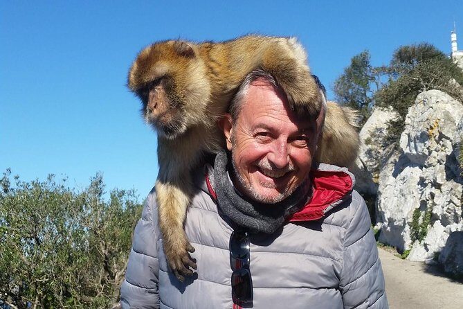 Gibraltar Day Trip from Seville + Rock Tour - The Group Size and Guides